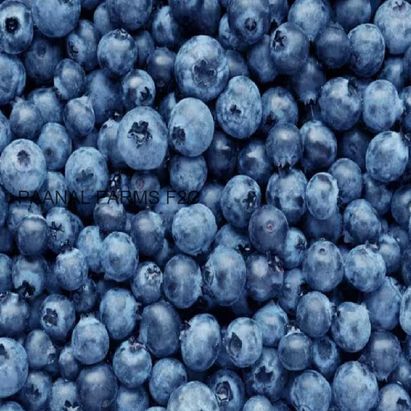 BLUEBERRIES 25 GM – Bridging Farmers And Consumers
